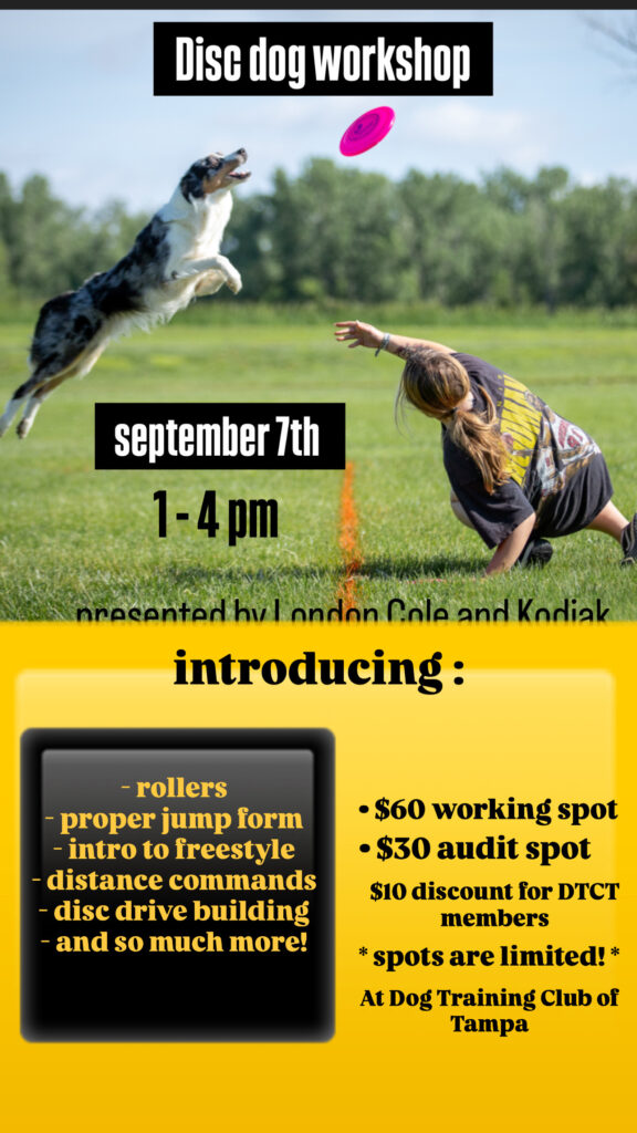 Events - The Dog Training Club of Tampa, Inc.